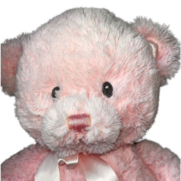 Gund | Toys | My First Teddy Pink Baby Gund Bear Velvety Soft Plush ...